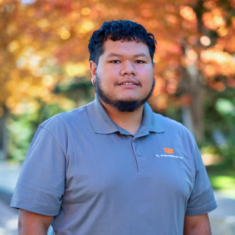 About – DL Engineering